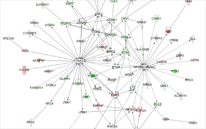Systems and synthetic biology